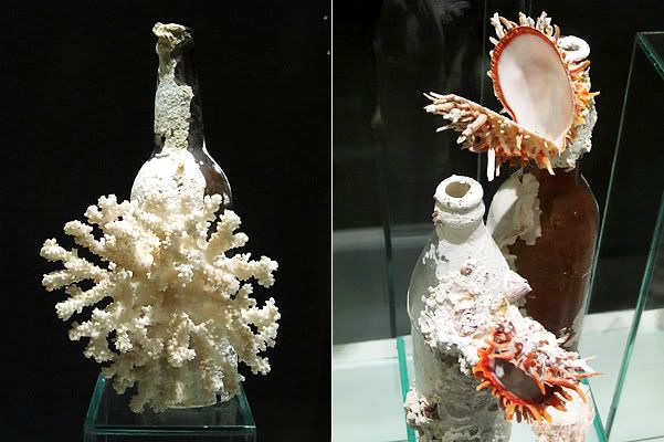 Explore Life Lah!: Phuket Snapshot : Shell World